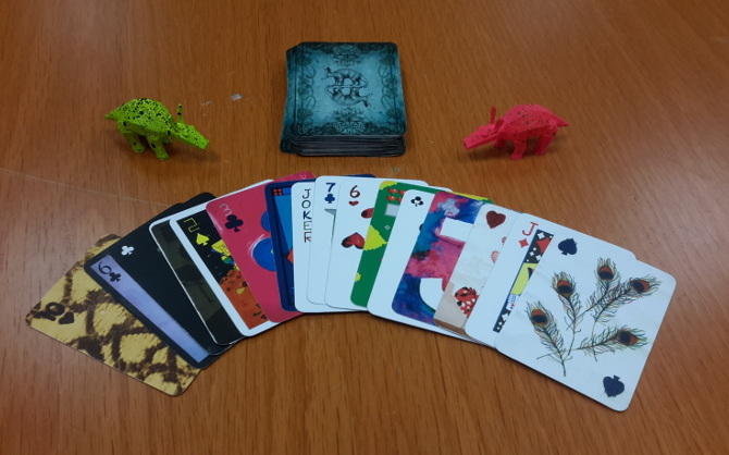 Funky Aardvark playing cards - Tang Mu