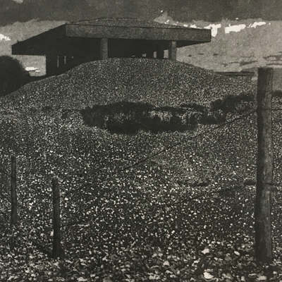 Signal Crayfish - Chris Otley