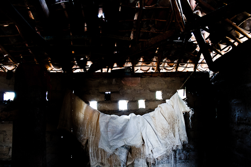 prelúdio - mariana david