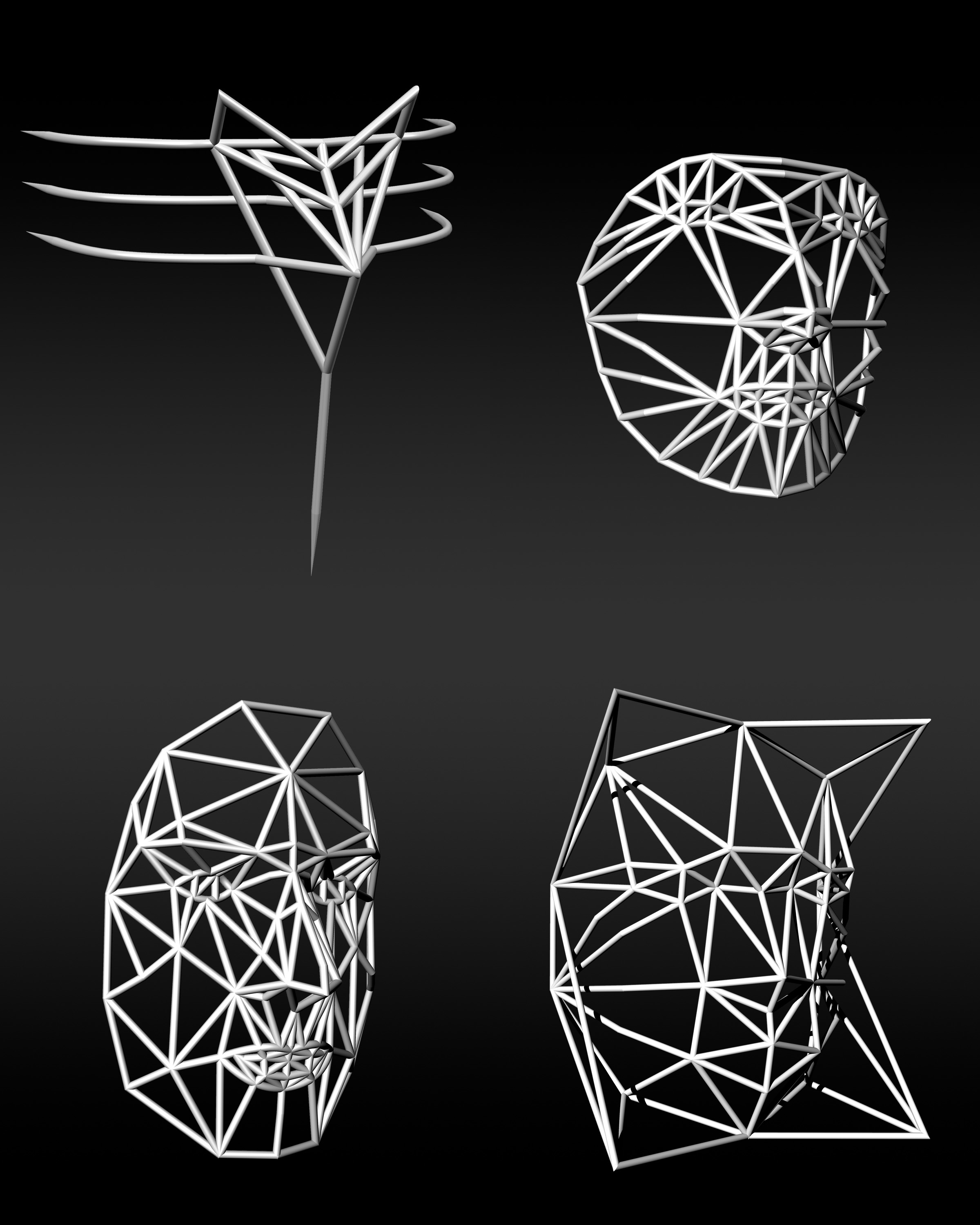 Face Cage - Scott Kepford