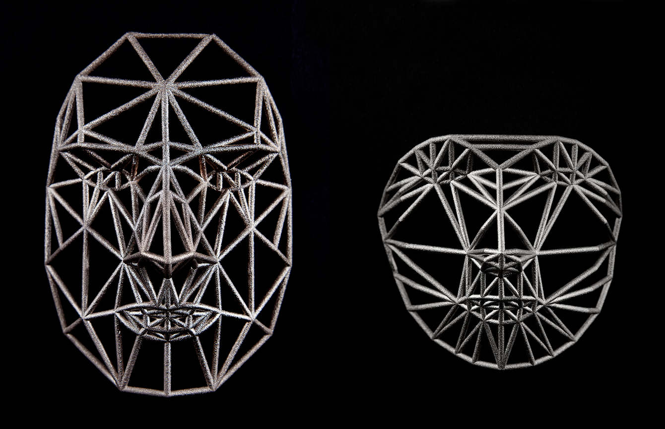 Face Cage - Scott Kepford