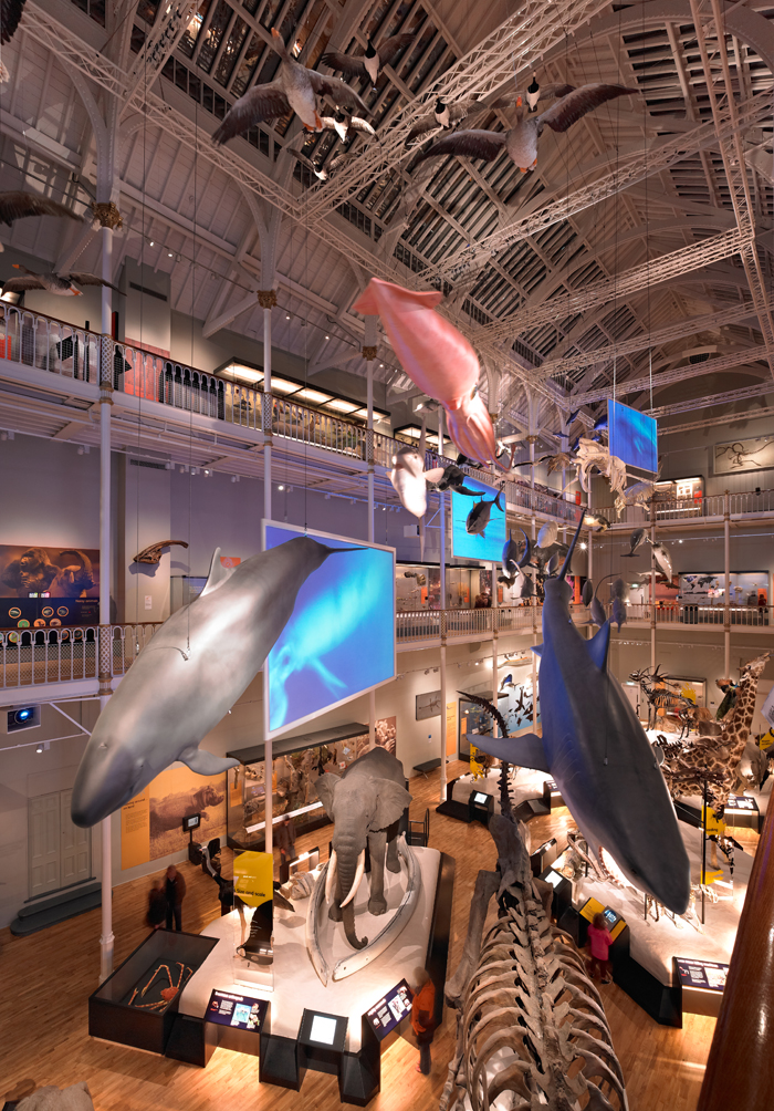 National Museum of Scotland - s.j. leach design ltd