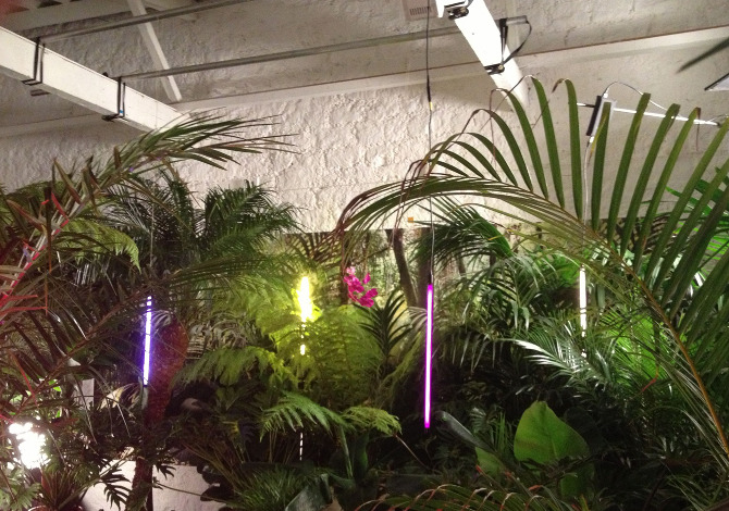 SET DESIGN - Rachel Péloquin