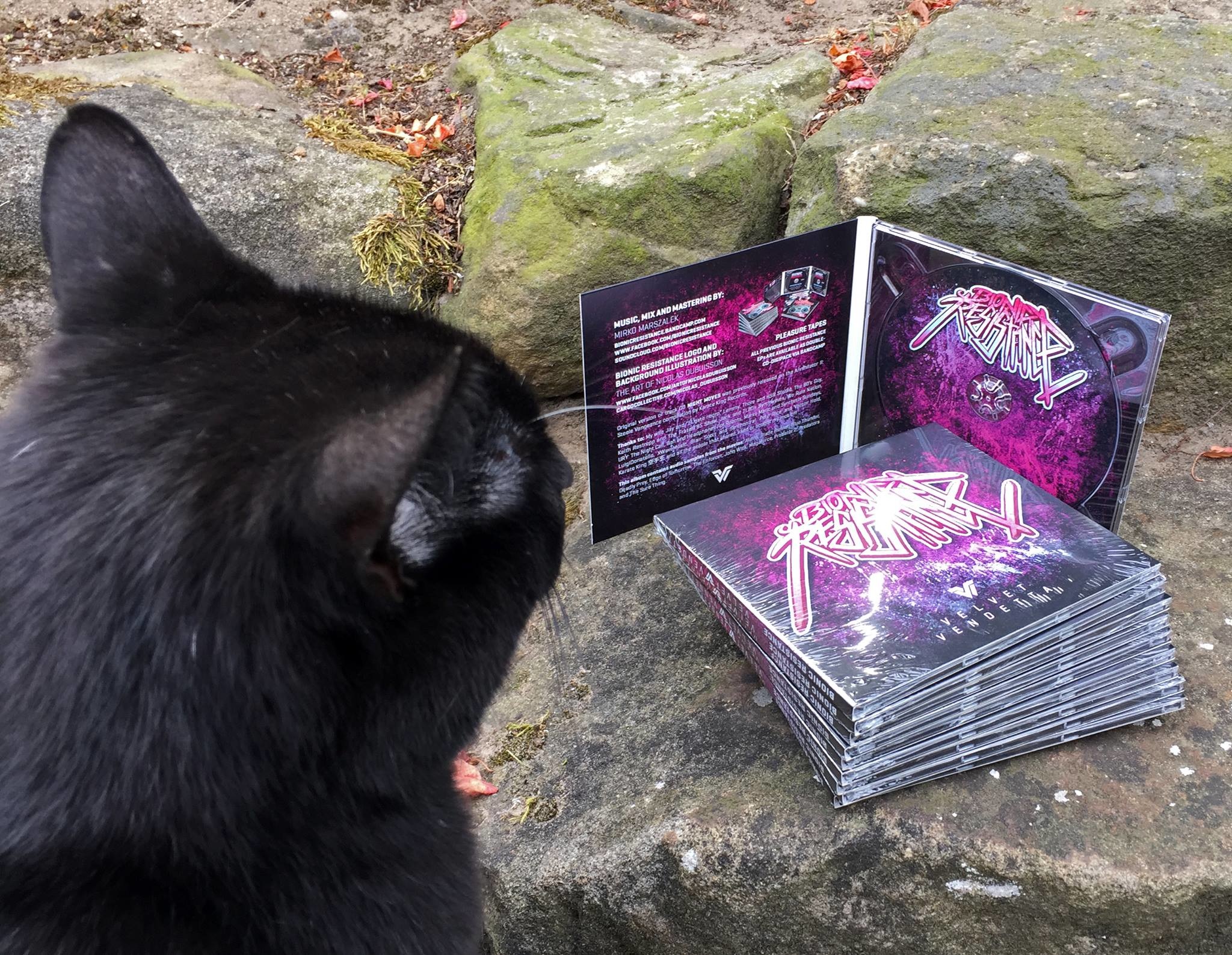 BIONIC RESISTANCE - The Art of Nicolas Dubuisson