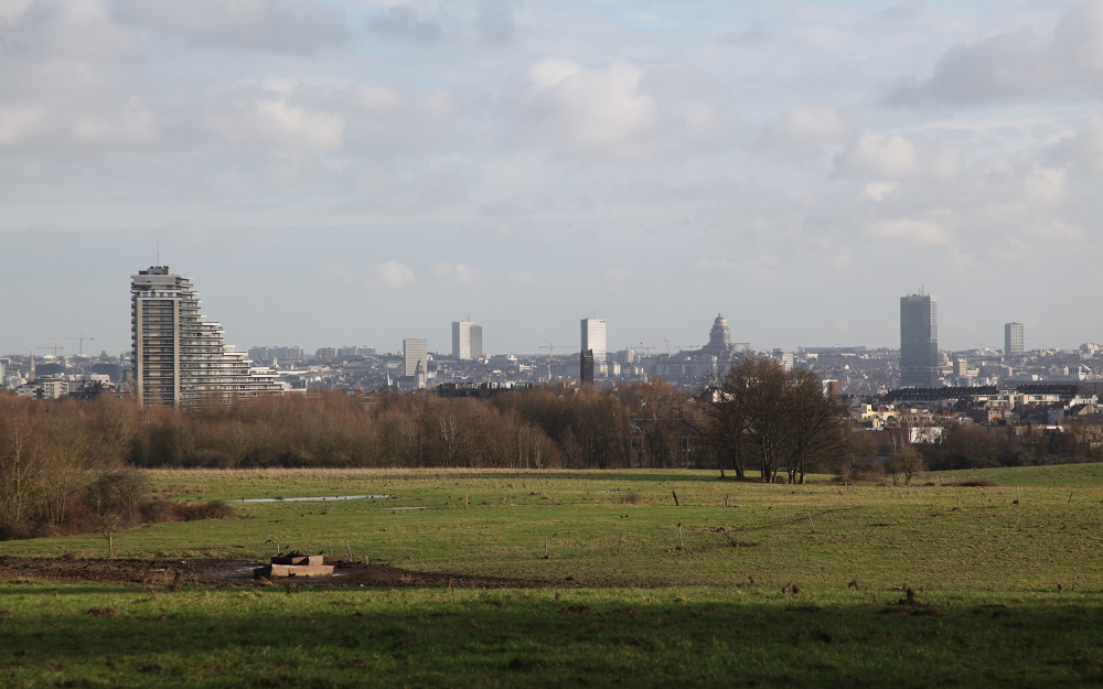 METROPOLITAN LANDSCAPE - DEV-space