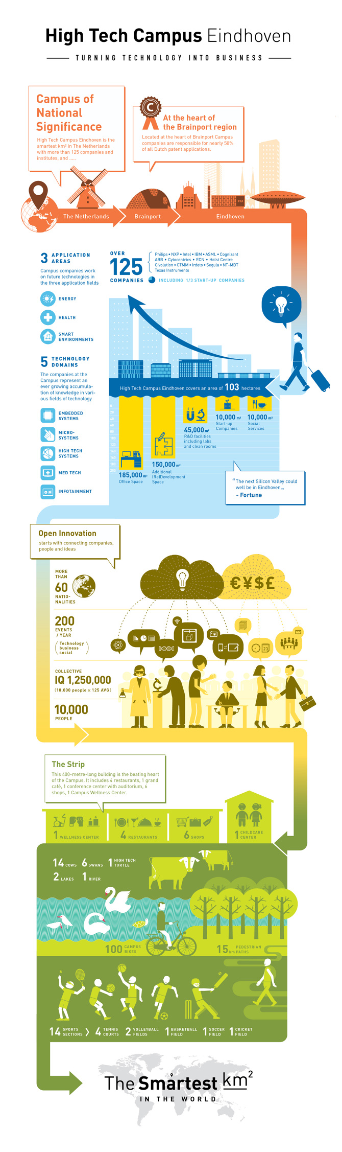 HTCE Infographic - Echo Yang