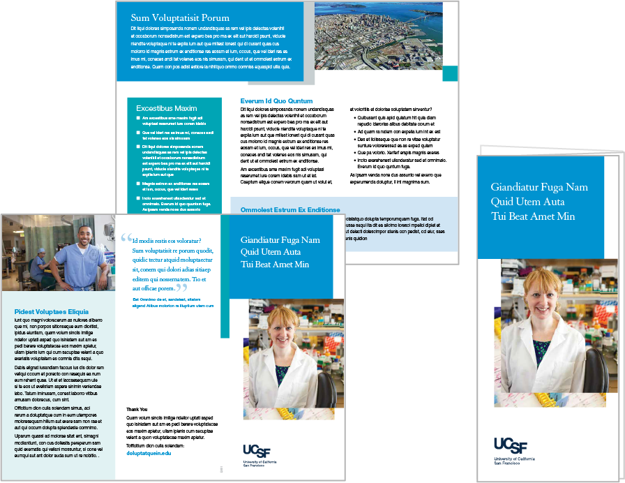 Solicitation Material Template - vydesign