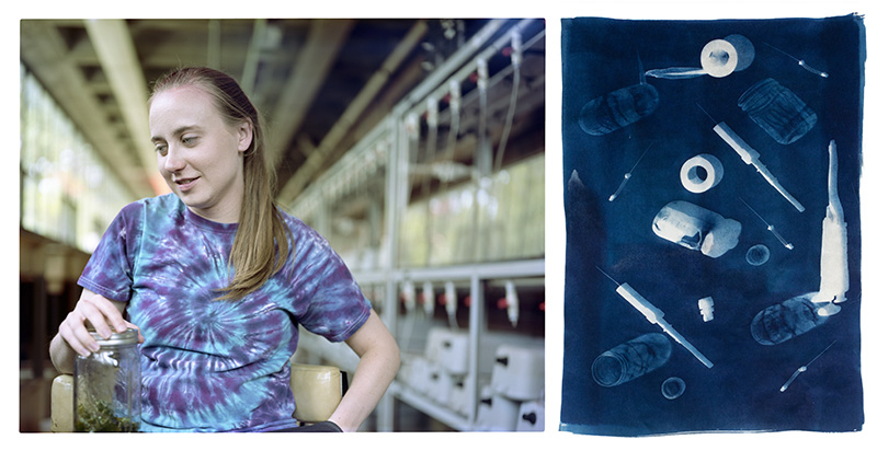 Observers Observed - Crista Dougherty