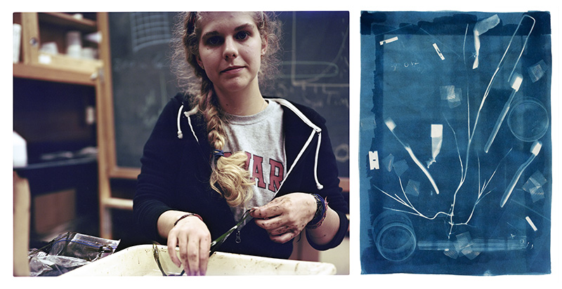 Observers Observed - Crista Dougherty