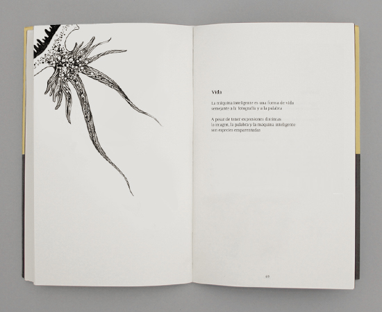 La Carabella Portugesa - katcatmur