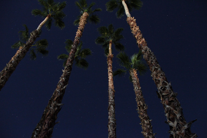 Trees' nights - Leandrosanchezphotography