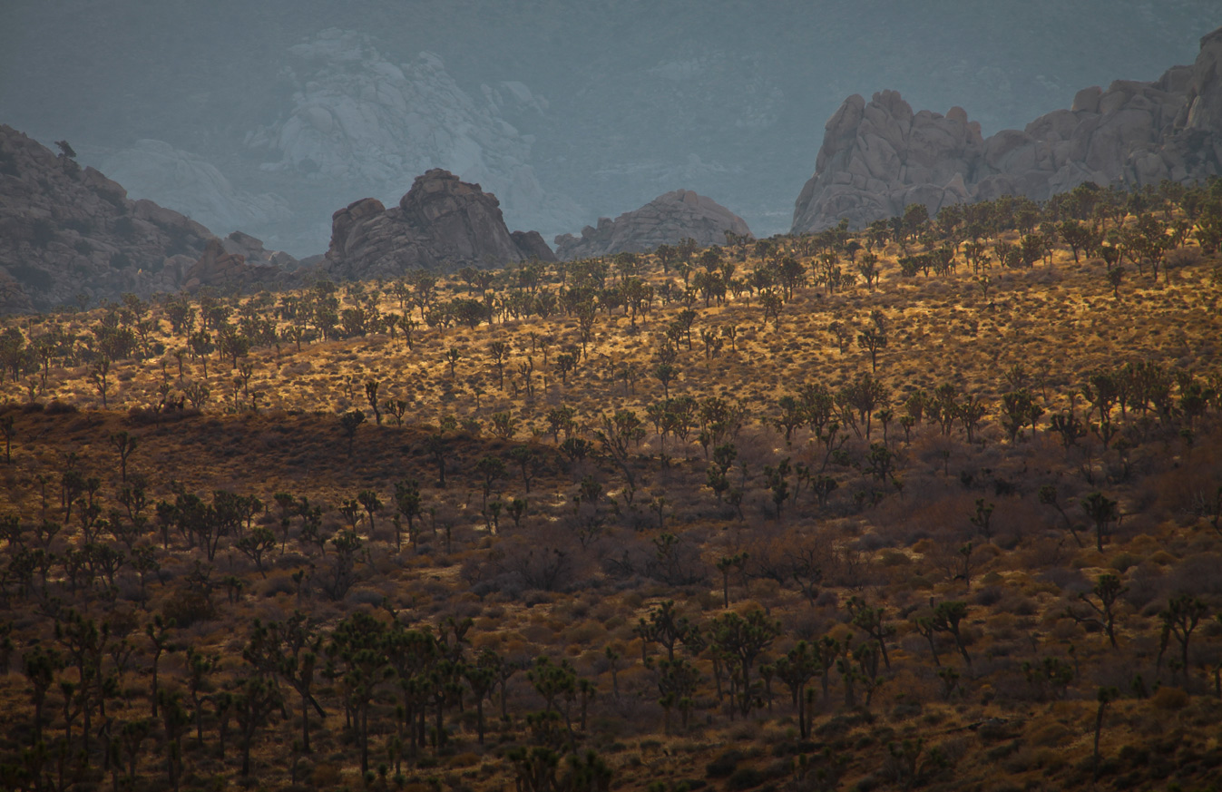 Vast Lands - Leandrosanchezphotography