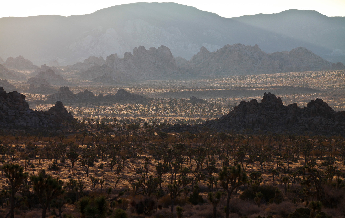 Vast Lands - Leandrosanchezphotography