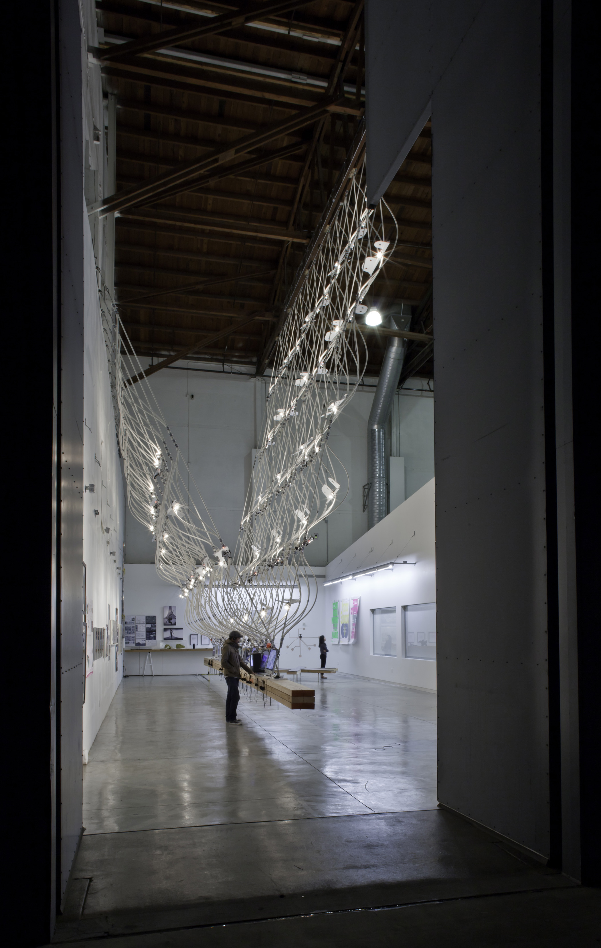 The Rather Large Array - Tim Durfee