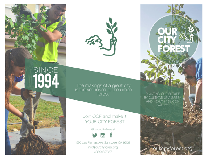 OUR CITY FOREST - Alexis Sophia