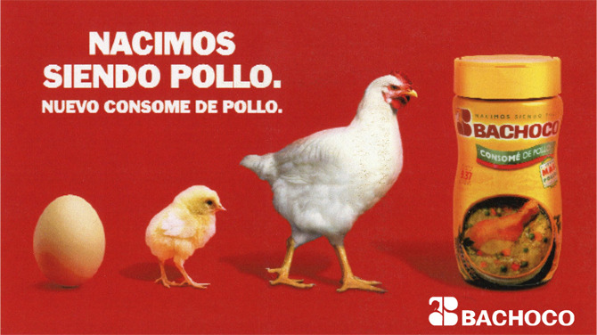 Bachoco - yadirareyes