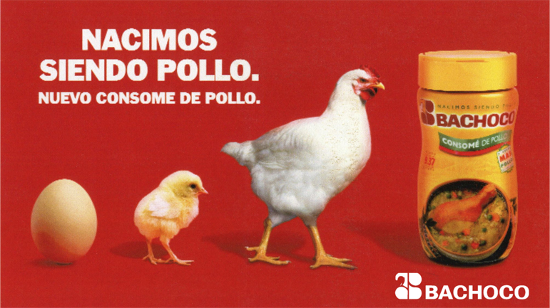 Bachoco - yadirareyes