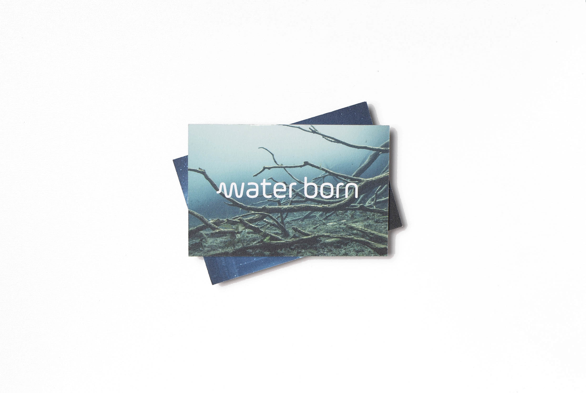 Water Born - curve