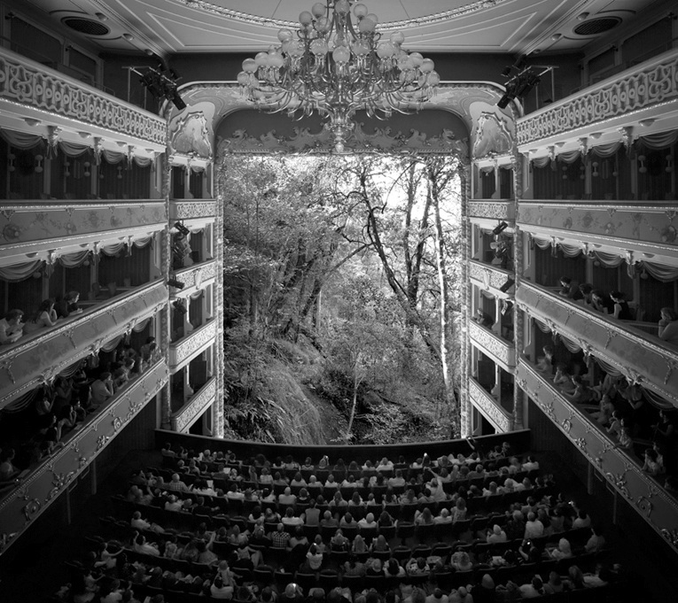 Collective Narratives - Tanja Deman