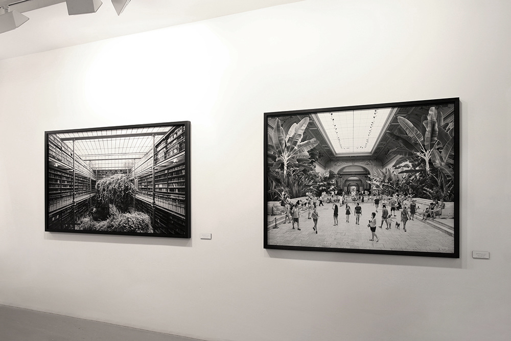 Temples of Culture - Tanja Deman