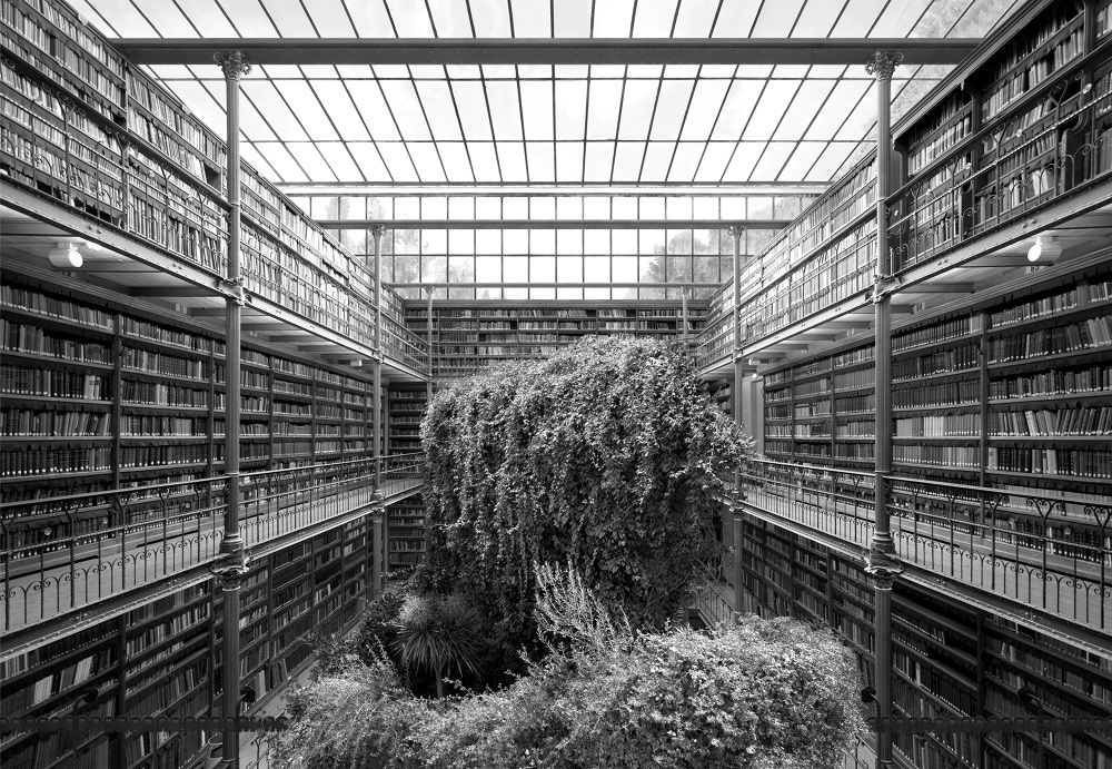 Temples of Culture - Tanja Deman