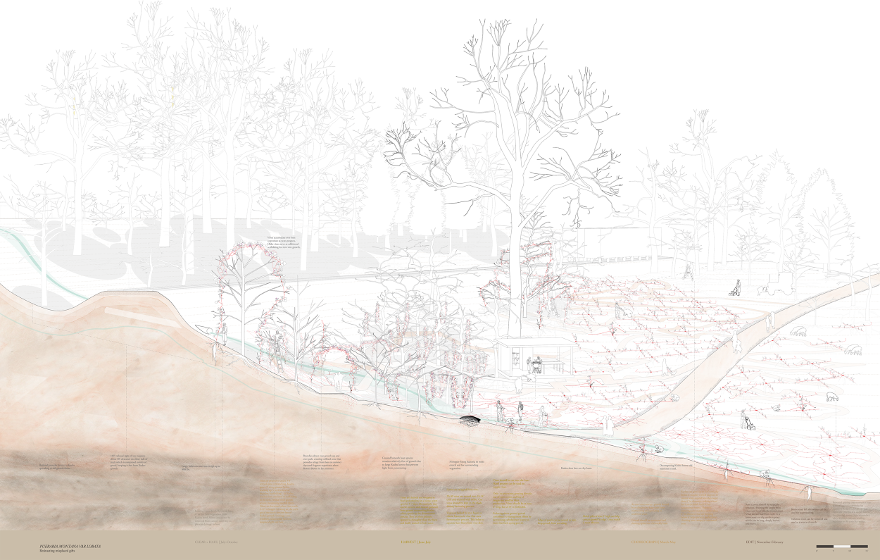 Disruptive Stimuli - Amanda Silvana Coen | Landscape, Design, Photography