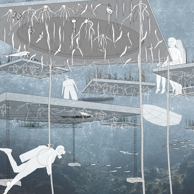 Buoyant Biomes - Amanda Silvana Coen | Landscape, Design, Photography