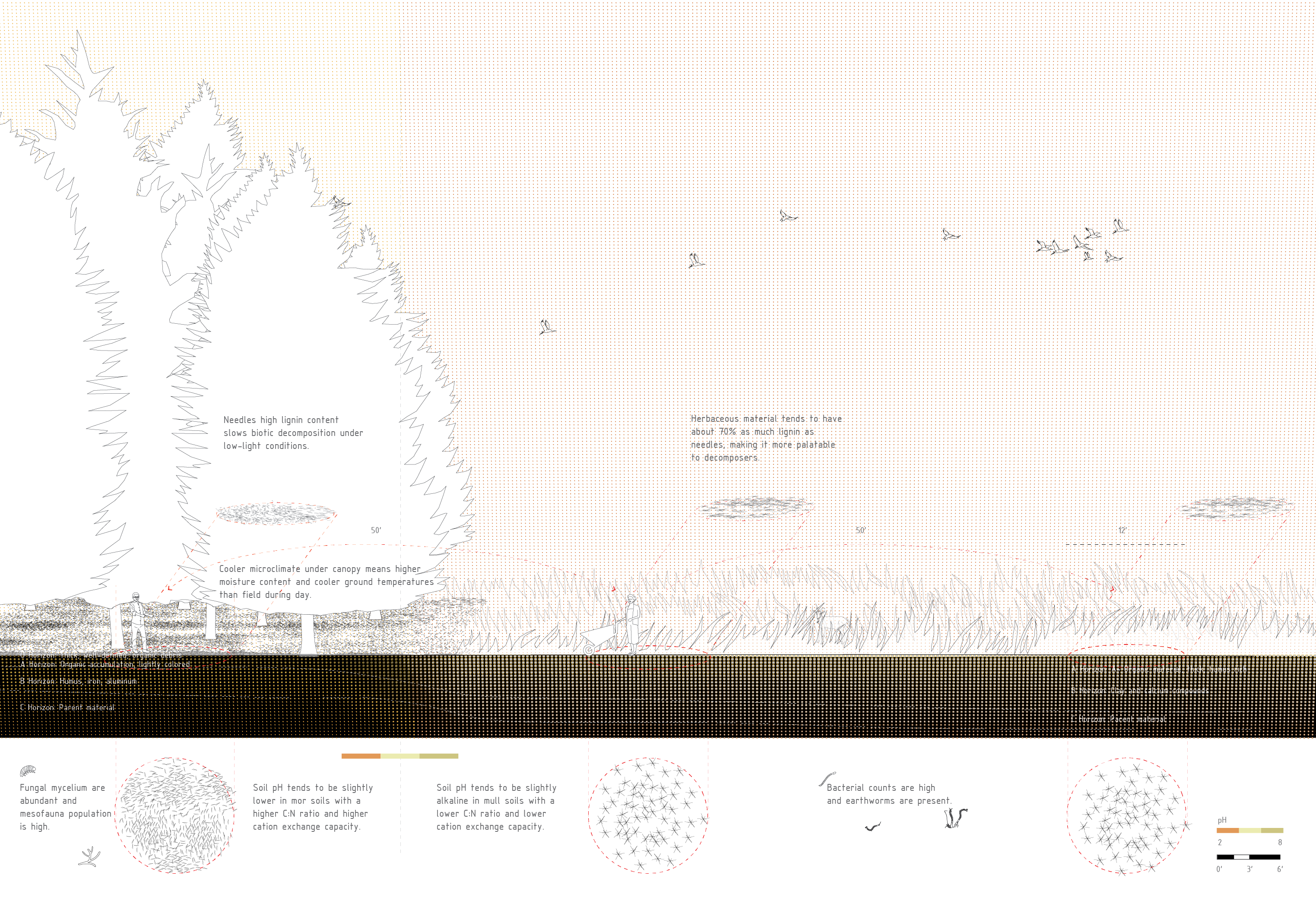 Rotology - Amanda Silvana Coen | Landscape, Design, Photography