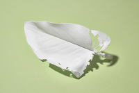 Wire - Maya Ben David