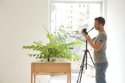 Wire - Maya Ben David