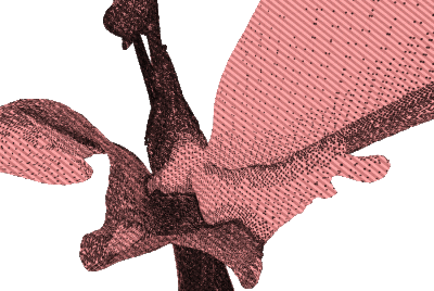 Wire - Maya Ben David