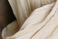 Wire - Maya Ben David