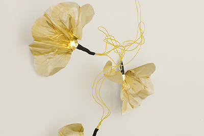 Wire - Maya Ben David