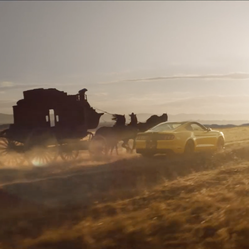 Orange Battle - lucie&vincent