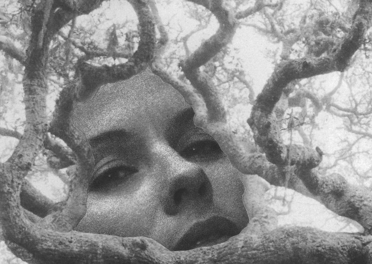 Hazel Pitt