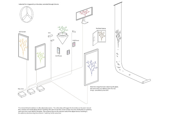 Digital Observer - niumiao