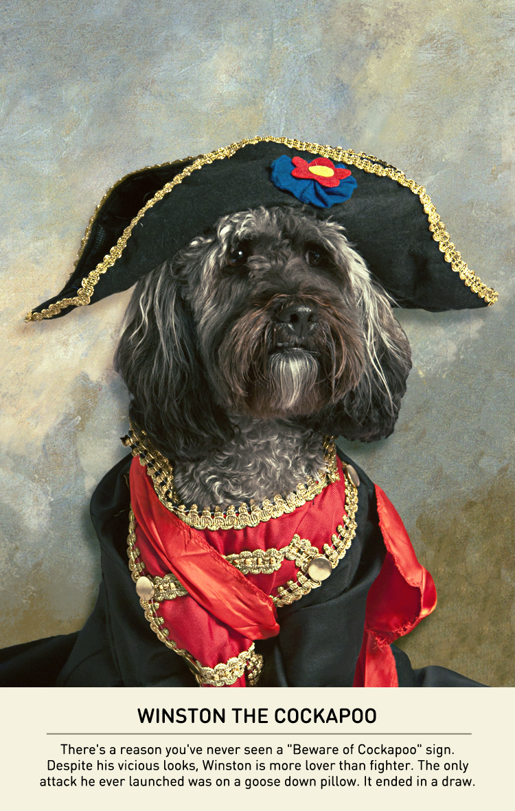 Dogs With A Napoleon Complex - Carmichael Collective