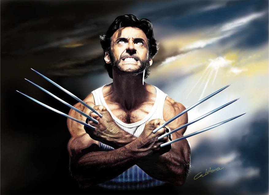 Wolverine - studiocaldeira