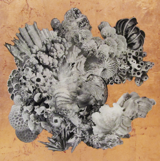 Organic Forms 1 & 2 - Kate Livingstone