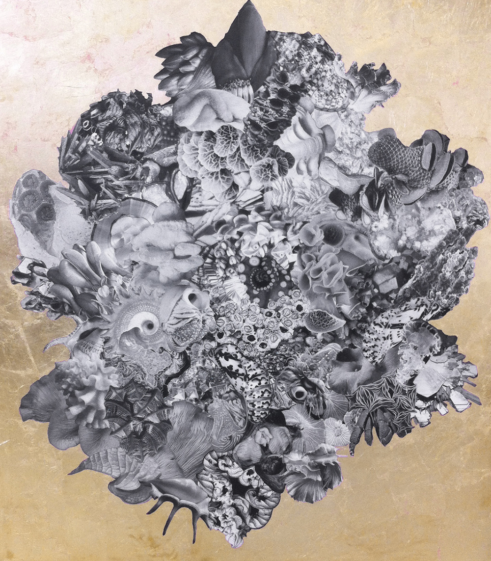 Organic Forms Collage - Kate Livingstone