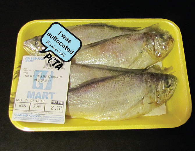 Peta - Fish Campaign - Carrie Monster | Strategy & Art Direction