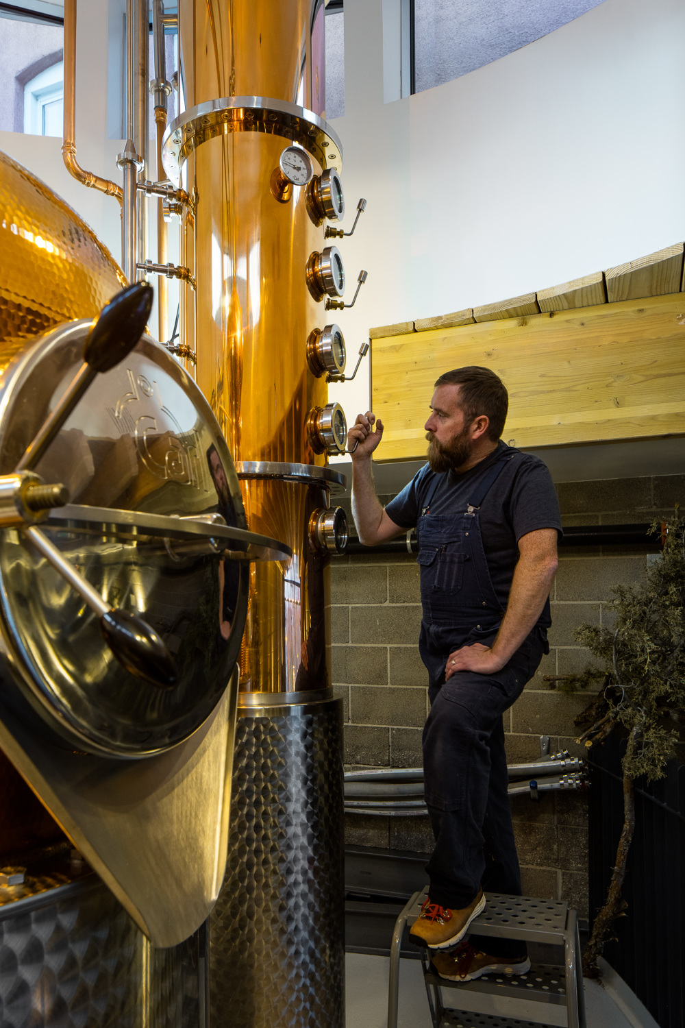 THE FAMILY JONES DISTILLERY - tres birds