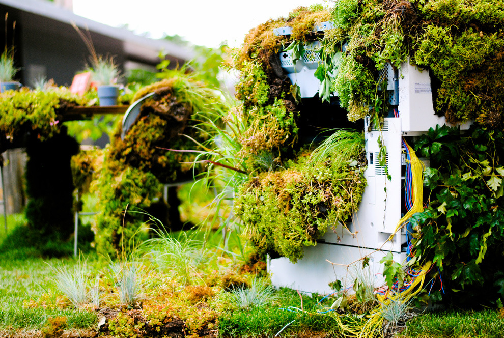 NATURAL SYSTEMS DOMINATION - tres birds