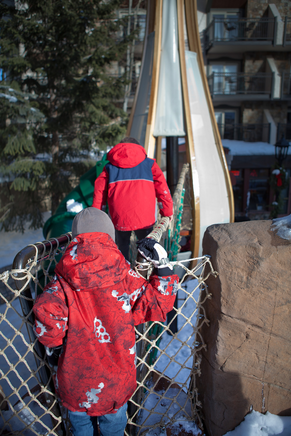 VAIL NESTS - tres birds