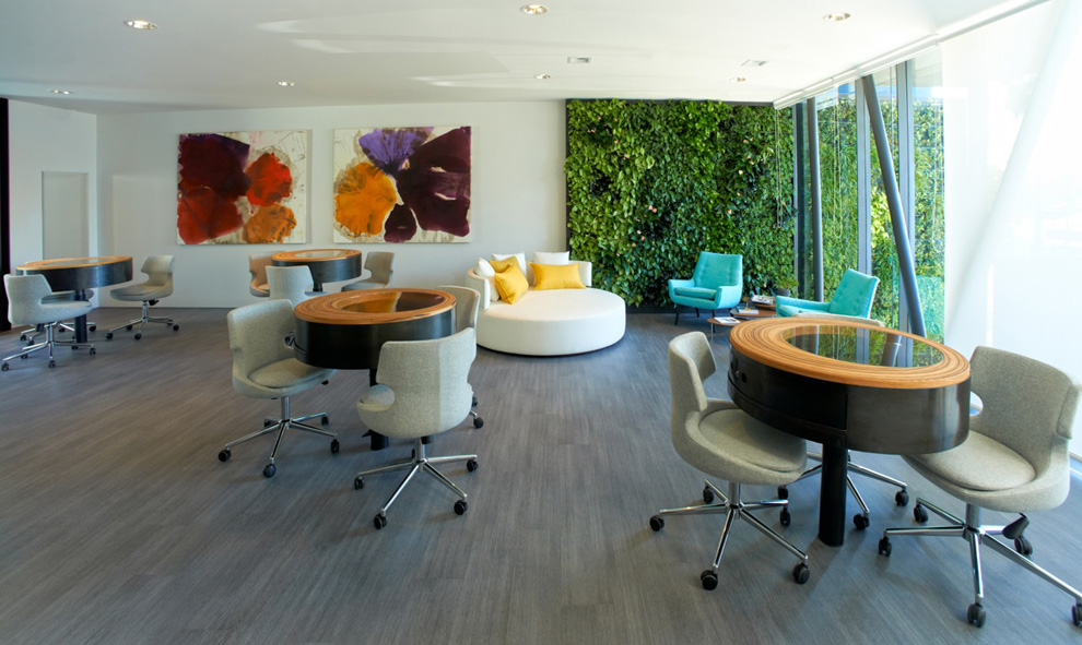 TODD REED VENICE - tres birds