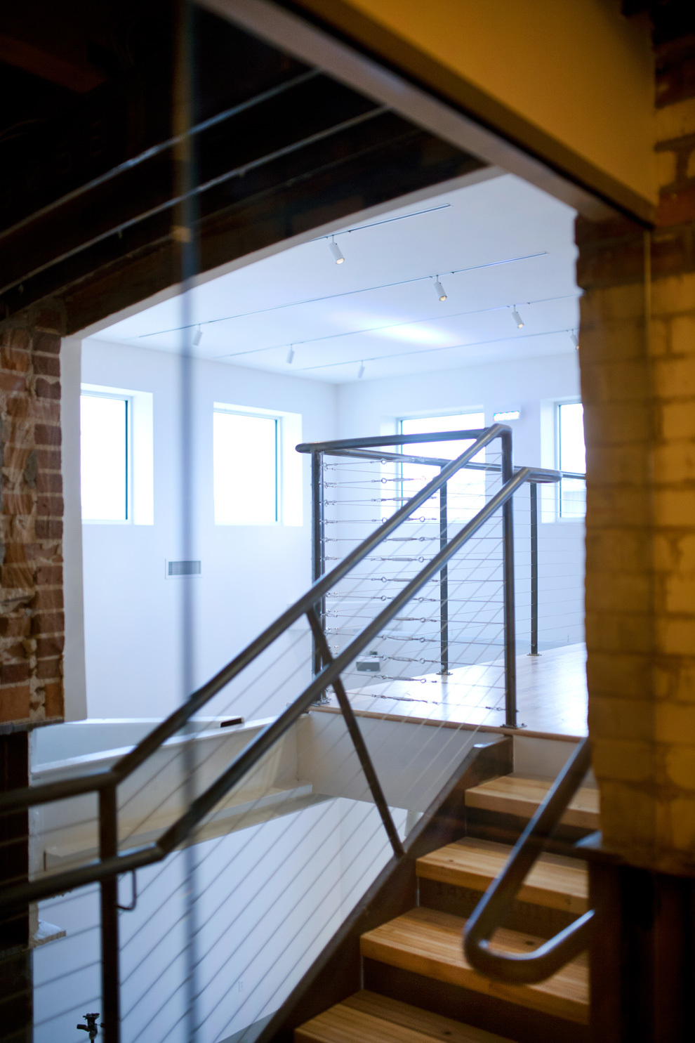 VISUAL INTEREST - tres birds