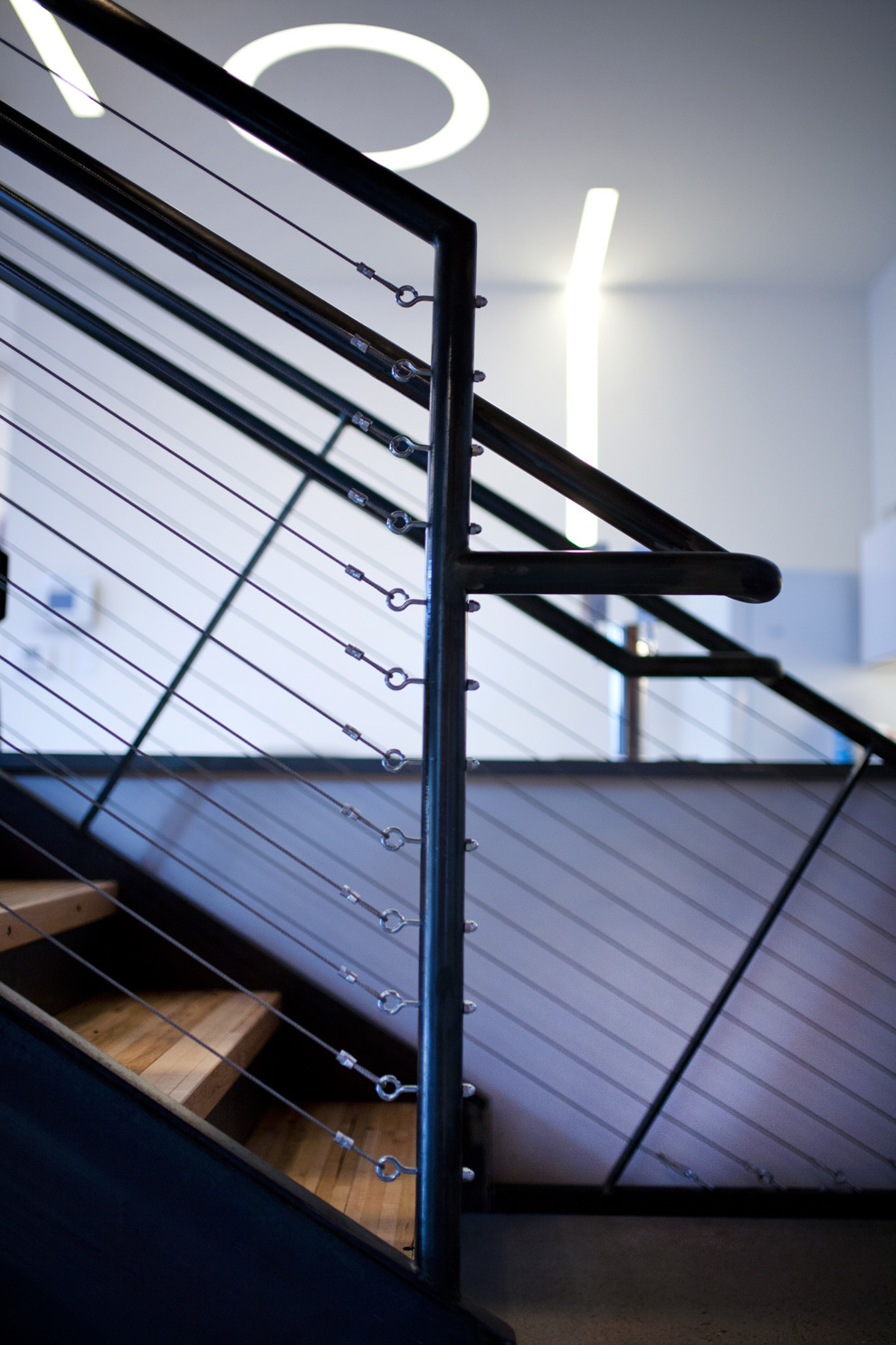 VISUAL INTEREST - tres birds