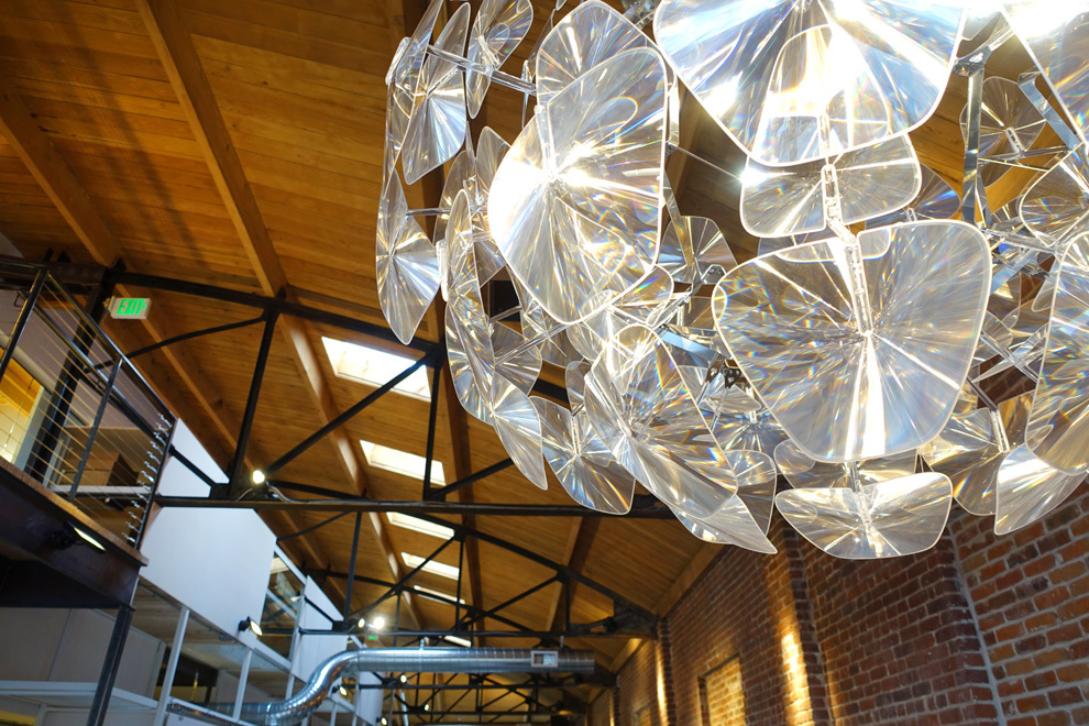 VISUAL INTEREST - tres birds