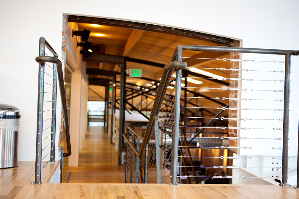 VISUAL INTEREST - tres birds