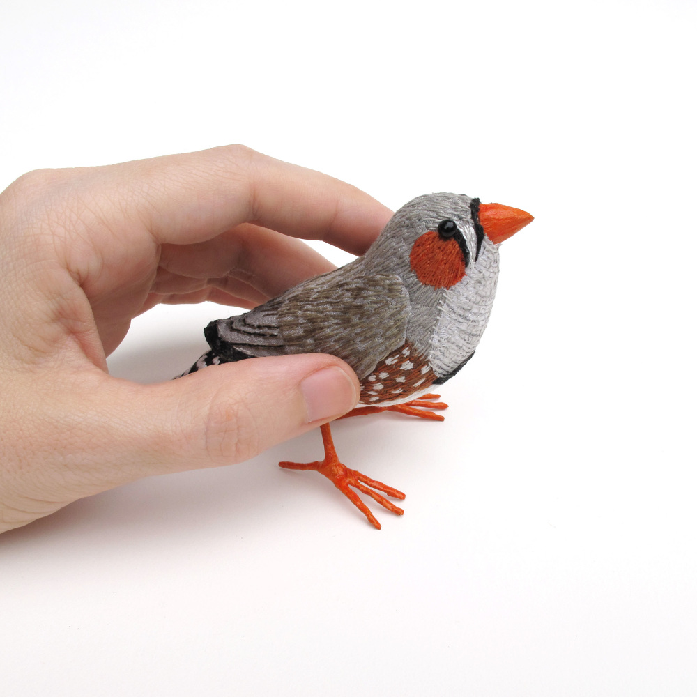 Zebra Finch - Laura Schlipf